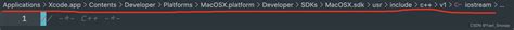 在macos中的vs code下添加 bits stdc h 万能头文件 mac下vscode万能头文件 csdn博客