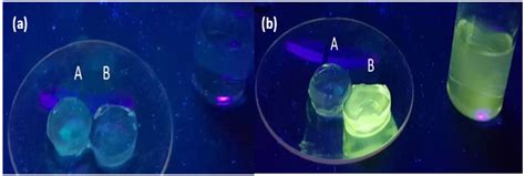 Fluorescent Molecular Logic Gates And Pourbaix Sensors In Polyacrylamide Hydrogels