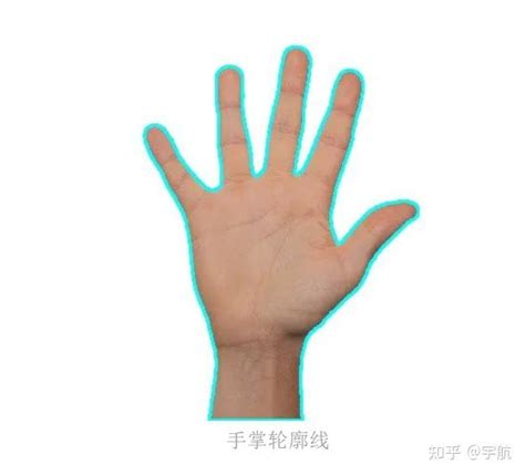 基于opencv的手掌检测和手指计数 知乎