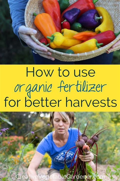 How To Use Organic Garden Fertilizer For Better Plants Vegetable