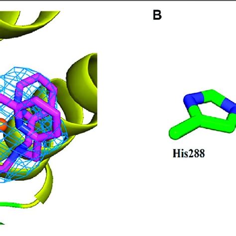 Close View Of The Electron Density Map 2fo−fc Of The Binding Site