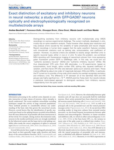 PDF Exact Distinction Of Excitatory And Inhibitory Neurons In Neural Networks A Study With