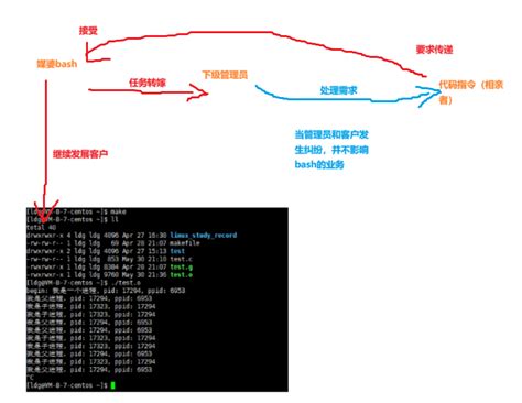 Linux进程概念 Csdn博客