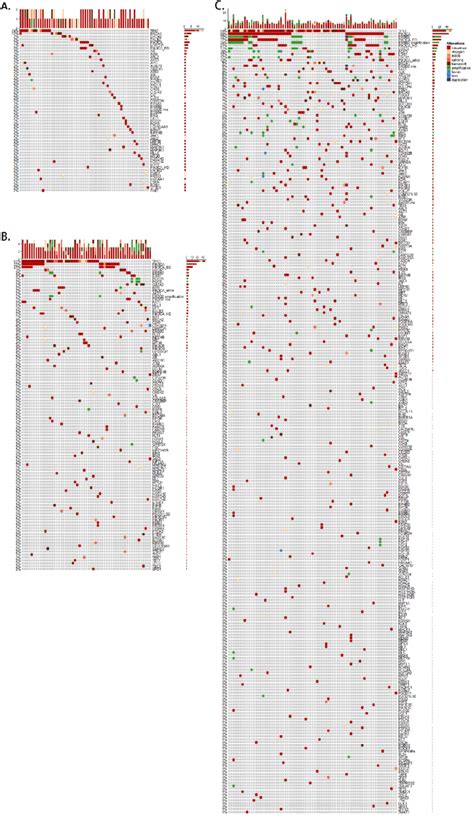 Heatmaps Of Baseline Ctdna Alteration Profiles Stratified By Level Download Scientific Diagram
