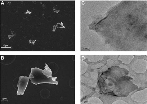 Figure 2 From Non Covalent Functionalization Of Graphene Sheets By Pyrene Endcapped