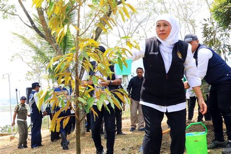 Lawan Perubahan Iklim Gubernur Khofifah Gencarkan Aksi Tanam Pohon
