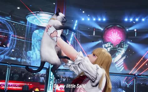 Saving Cat To Adopting Cat Rtekken