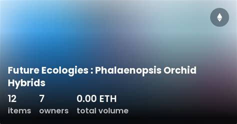 Future Ecologies Phalaenopsis Orchid Hybrids Collection Opensea