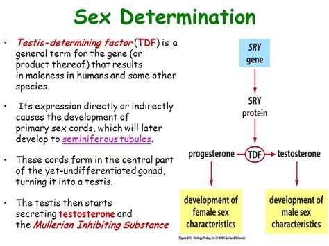Talk Ten Human Development Chapter Ppt Video Online Download