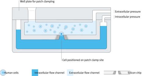 Festos Vtep Is Dé Next Step In Luchtverzorging Blog Indi