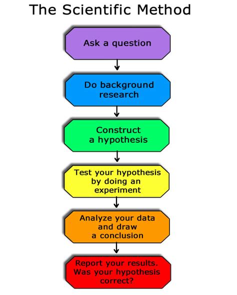 Variables Scientific Method Diagram Quizlet