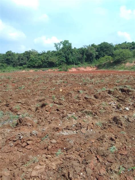 Dinesh Perera Dinesh Perera Added A New Photo