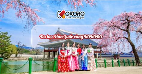 Đại Học Kyung Hee Hàn Quốc Kokoro
