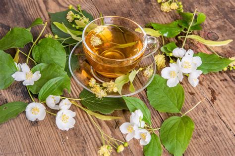Linme Images – Browse 47 Stock Photos, Vectors, and Video | Adobe Stock