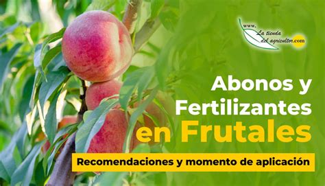 Abonos y Fertilizantes para árboles Frutales Recomendaciones y Momento