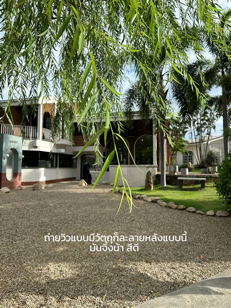 รีวิวกล้อง Ip14 Pm แบบฉบับคนชอบถ่ายรูป 🍋 แกลเลอรีที่โพสต์โดย