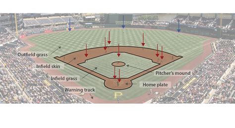 Baseball Field Overview At Marilyn Stumpf Blog