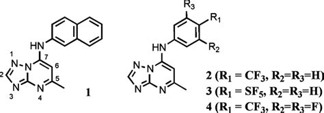 Structures Of Select Triazolopyrimidines Download Scientific Diagram
