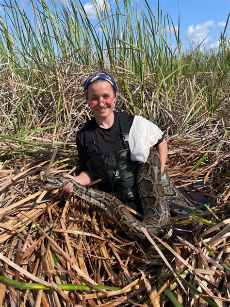 Whats Next For Ufifas Scientists On The Burmese Python Telemetry