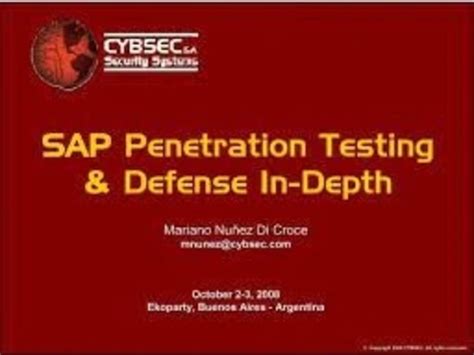 SAP Application Pentesting And Report Upwork