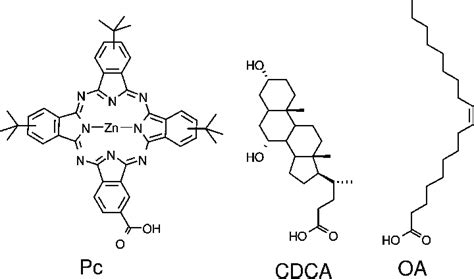 Compounds Used To Functionalize TiO Nanoparticle Films Download Scientific Diagram
