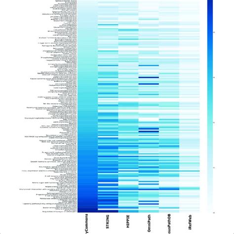 Overlap Between Each Pathway In Kegg And Each Interactome The Sorted