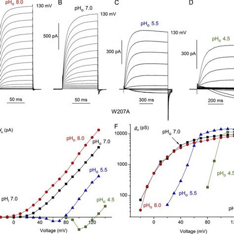 Modified Pho Sensitivity Of W207a Mutant Hhv1 Families Of Proton
