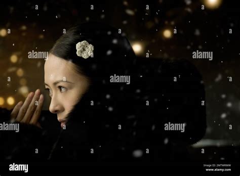 The Grandmaster Yi Dai Zong Shi Year 2013 Hong Kong China Director