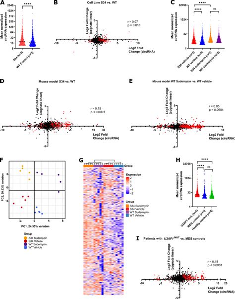 U2af1 Mutations Lead To Increased Circrna Expression Independent Of Download Scientific