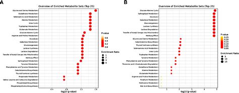 Frontiers Serum Metabolomic Profiling Unveils Distinct Sex Related