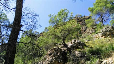 Los Vizcaínos en Bogarra uno de los rincones más bellos de la