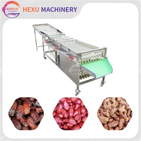 Fruits Size Sorter Strawberry Blueberry Grader Palm Dates Grading