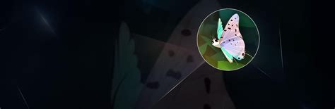 Descarga Y Juega A Flutter Butterfly Sanctuary En PC Y Mac Emulador