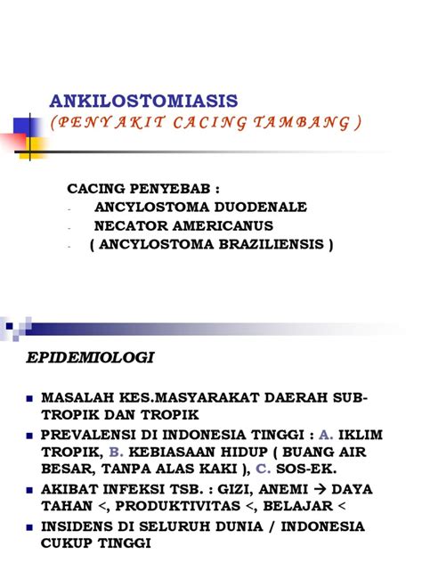 Ancylostomiasis Pdf