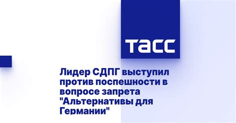 Лидер СДПГ выступил против поспешности в вопросе запрета Альтернативы