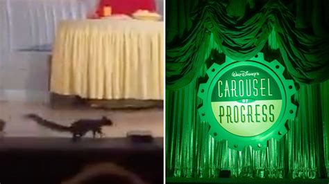 Wdw News Today Video Squirrel Crashes Walt Disneys