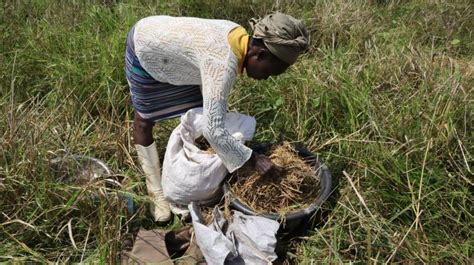 Mining Case Study Analysis And Report Actionaid Liberia