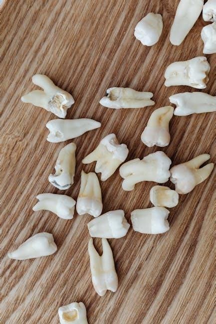 Post Op Dental Extraction Guide