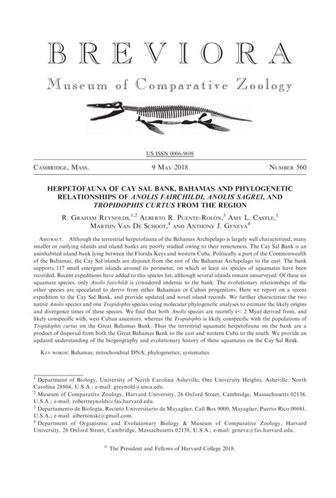 Pdf Herpetofauna Of Cay Sal Bank Bahamas And Phylogenetic