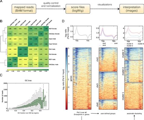 deeptools a flexible platform for exploring deep sequencing data pmc