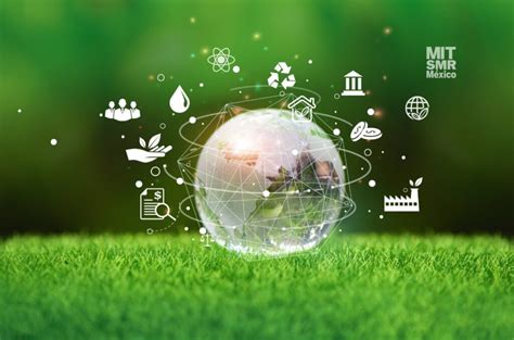 Cómo Se Podría Lograr La Sustentabilidad Ecológica