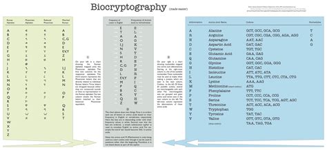 Biocryptography