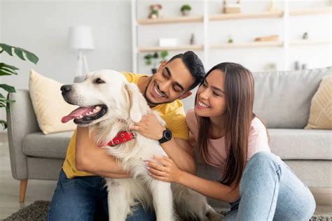 3 Astuces Pour Mieux Vivre Avec Vos Animaux