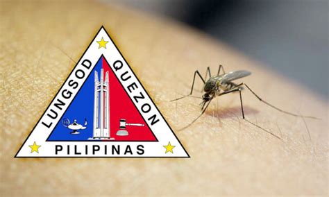 Fighting Dengue In Quezon City Through ‘slay The Swarm Strategy Rory
