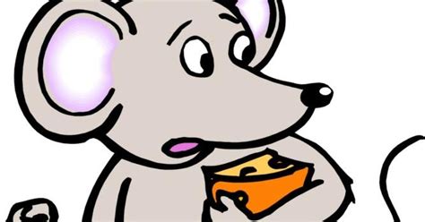 Blog Codonomics