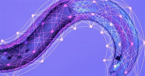 Sushovan Haldar On Linkedin Researchers Discover A More Flexible
