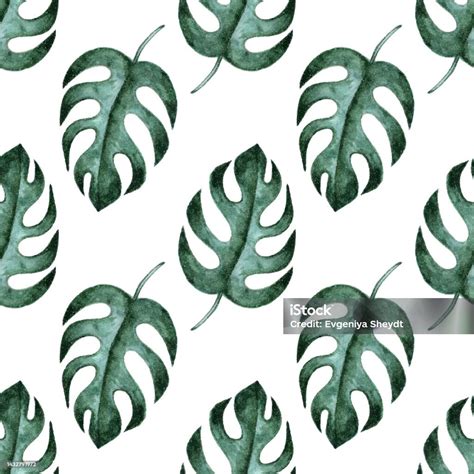 열대 야자수 잎 Monstera 정글 잎 이음새가 없는 벡터 꽃 무늬 배경 0명에 대한 스톡 벡터 아트 및 기타 이미지 0명 녹색 독일 Istock