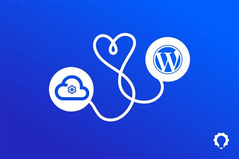 Exploring The Gap Why Wordpress Is Overlooked In Saas Mindspun