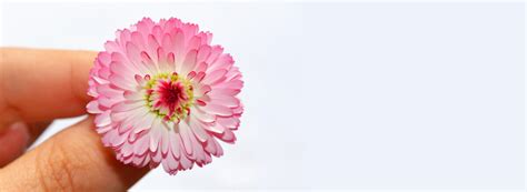 Gynecologist In South Miami Fl My Gyn Care