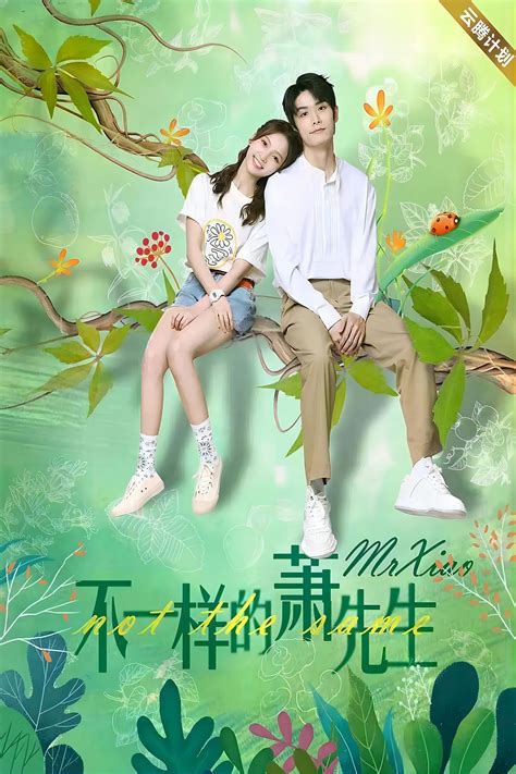 A Different Mr Xiao Tv Series 2023 2023 海報 — The Movie Database Tmdb